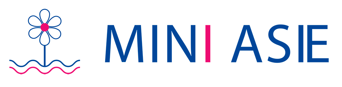 Mini Asie crée des ponts entre la France et la Chine